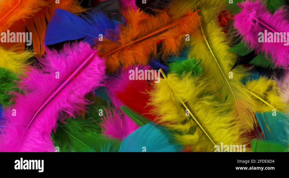 Colorful plume Stock Videos & Footage - HD and 4K Video Clips - Alamy