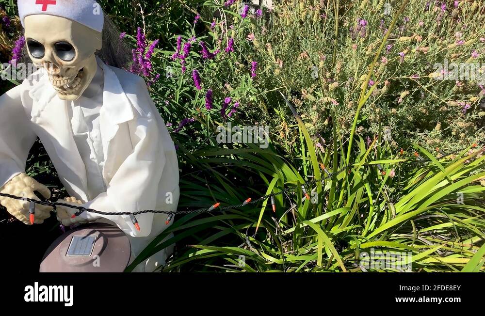 Skeleton doctor Stock Videos & Footage - HD and 4K Video Clips - Alamy