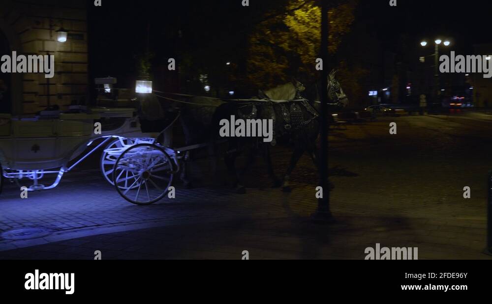 Grand chariot Stock Videos & Footage - HD and 4K Video Clips - Alamy