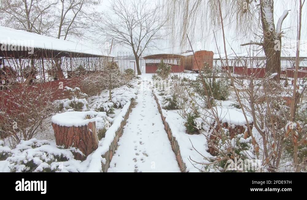 Snow city cafe Stock Videos & Footage - HD and 4K Video Clips - Alamy