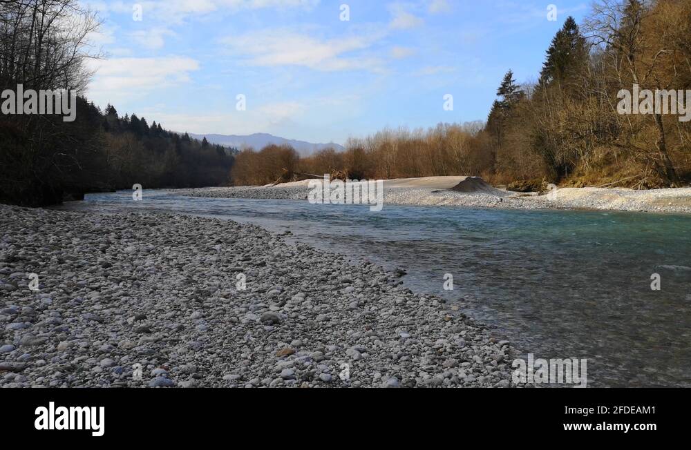 Tress in water Stock Videos & Footage - HD and 4K Video Clips - Alamy