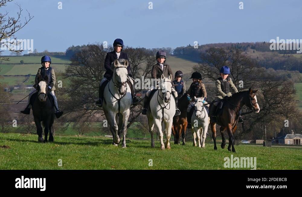 Slow zoom as young horse riders arrive for the start of a fox hunt ...