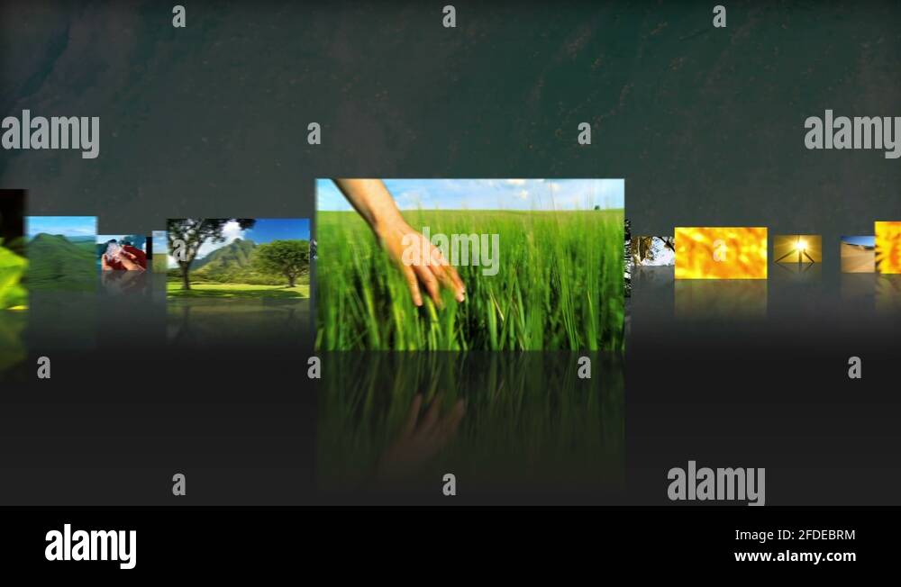 Environment life events Stock Videos & Footage - HD and 4K Video Clips ...