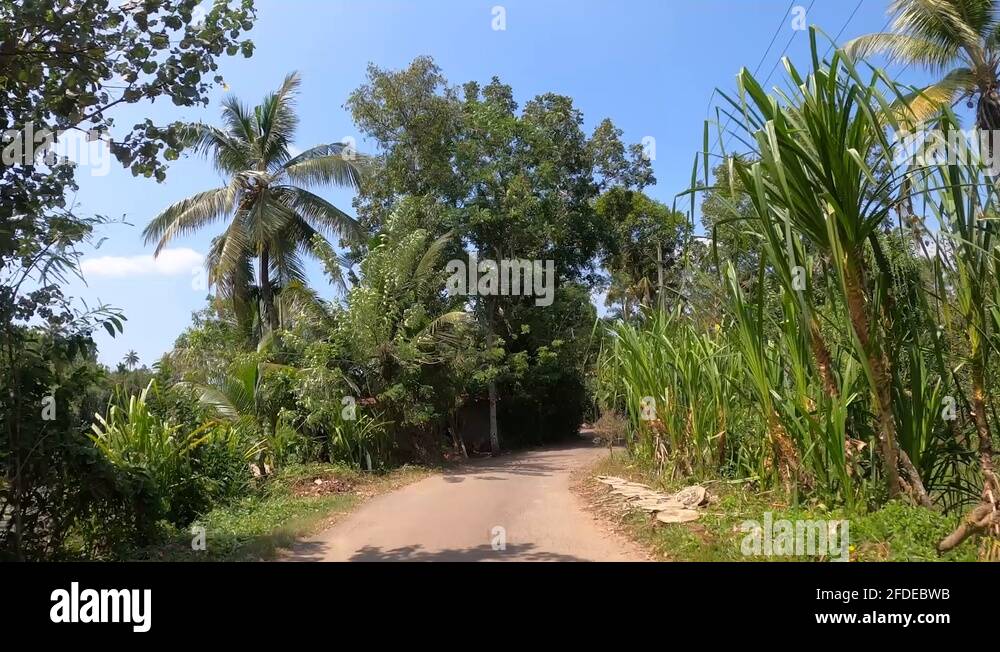 Travel asia india scenery Stock Videos & Footage - HD and 4K Video ...