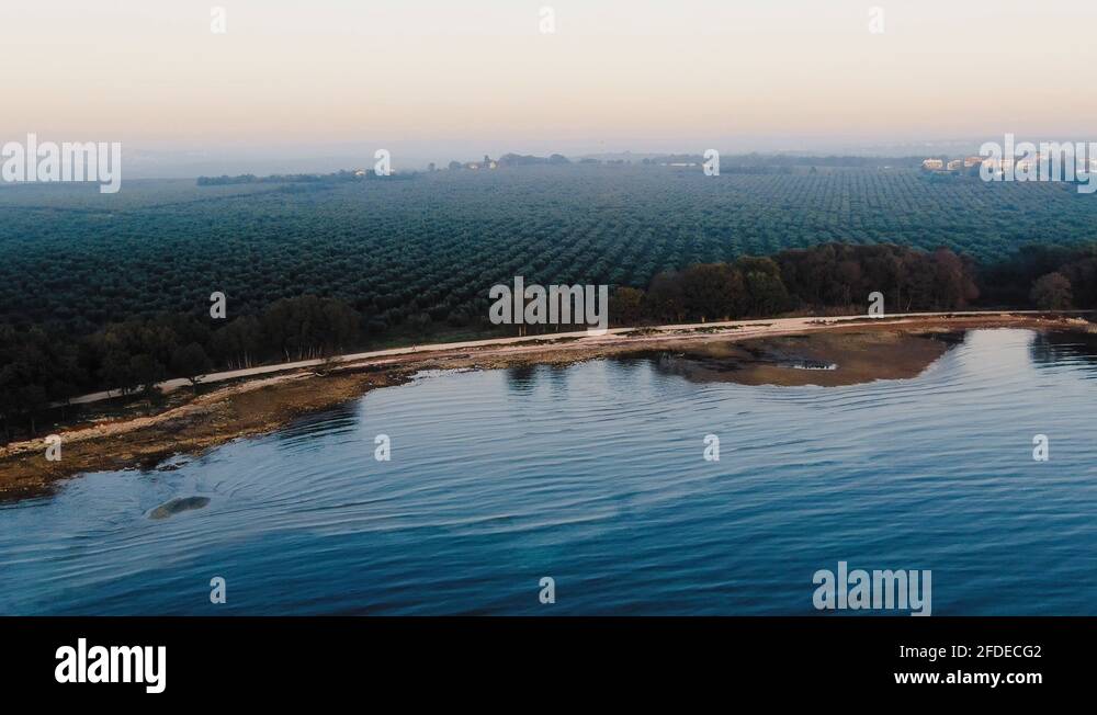 Water and big plantations of a crop growing behind it. Wonderful view ...