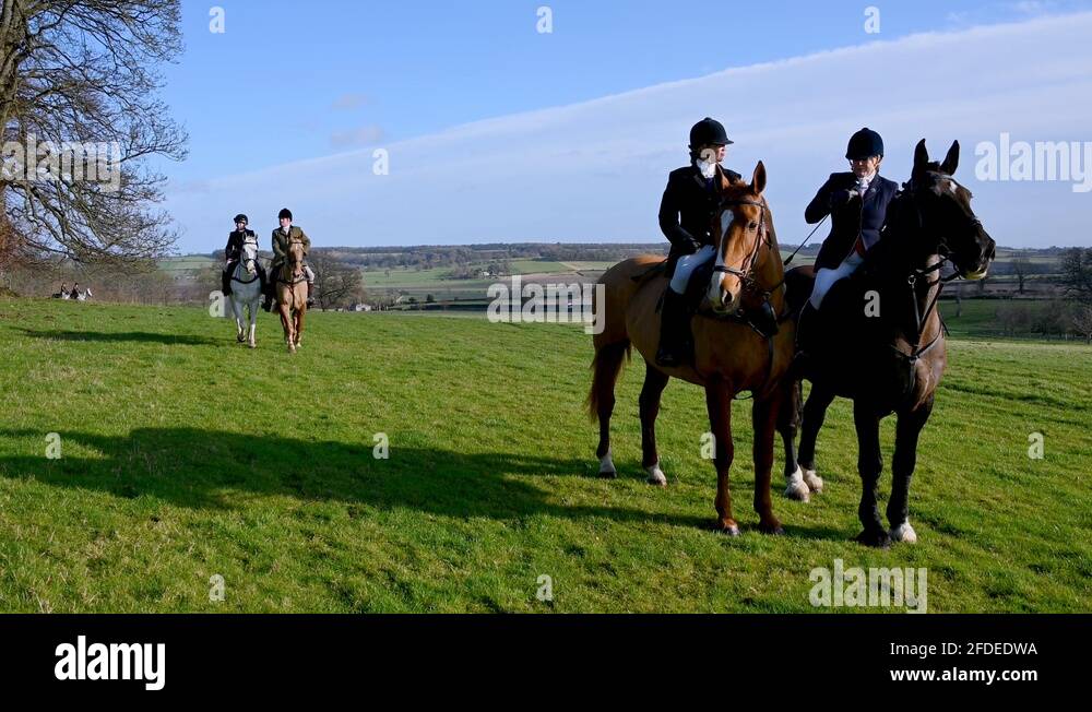 Horse hunting countryside Stock Videos & Footage - HD and 4K Video ...