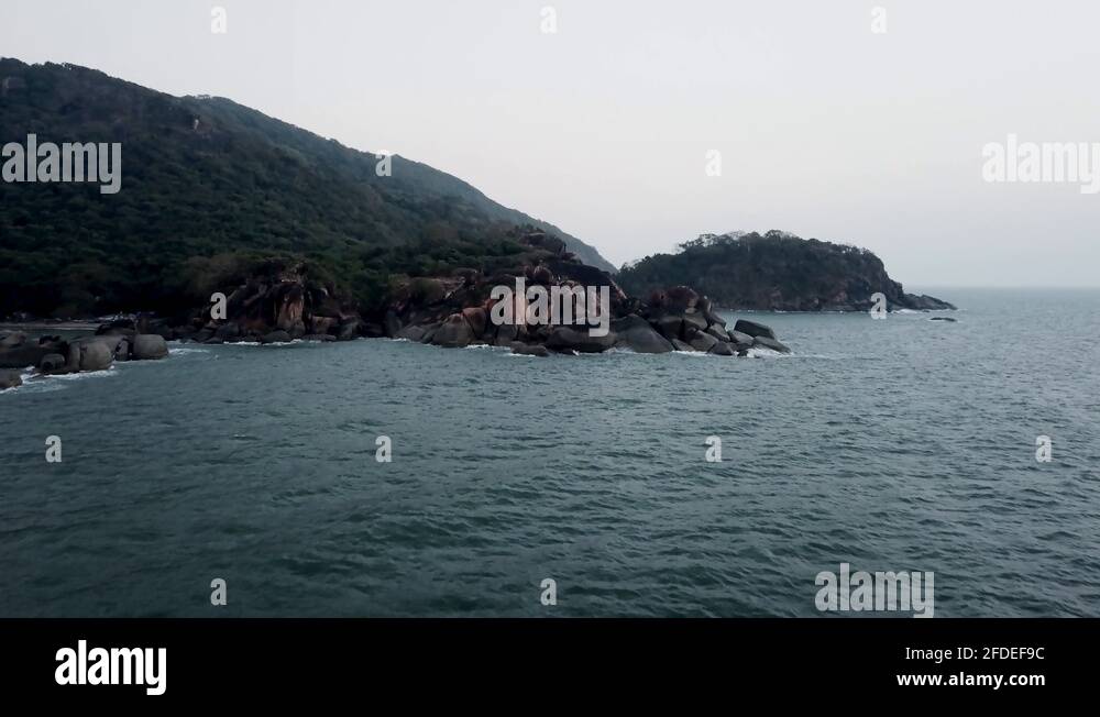 Butterfly full view Stock Videos & Footage - HD and 4K Video Clips - Alamy