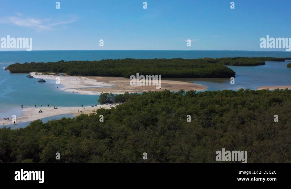 Everglades region Stock Videos & Footage - HD and 4K Video Clips - Alamy