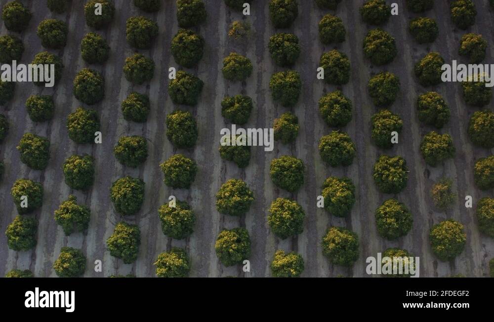 Beautiful farm field Stock Videos & Footage - HD and 4K Video Clips - Alamy