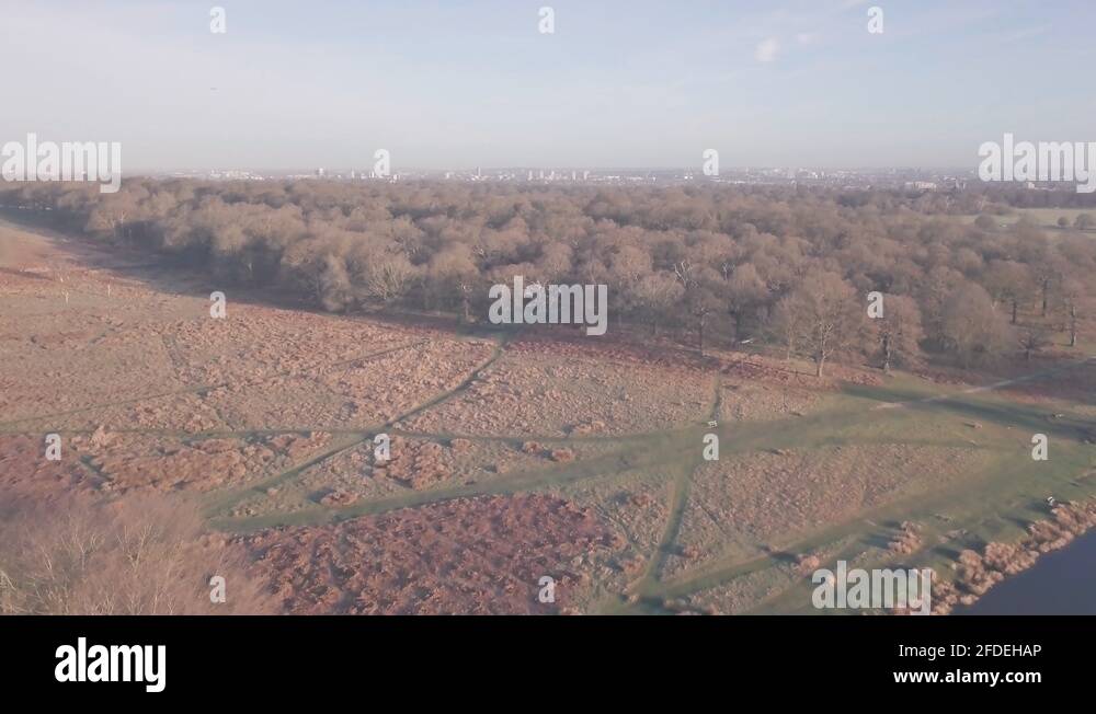 Richmond park view Stock Videos & Footage - HD and 4K Video Clips - Alamy
