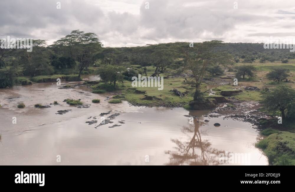 Kenya kenyan river Stock Videos & Footage - HD and 4K Video Clips - Alamy