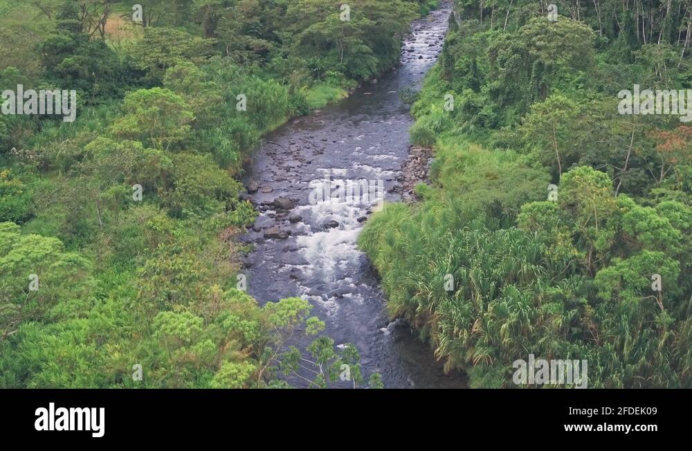 Rainforest arenal volcano national park Stock Videos & Footage - HD and ...