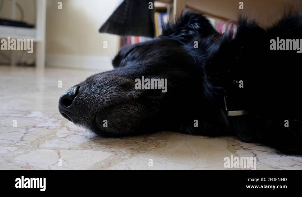 Taking up tile Stock Videos & Footage - HD and 4K Video Clips - Alamy