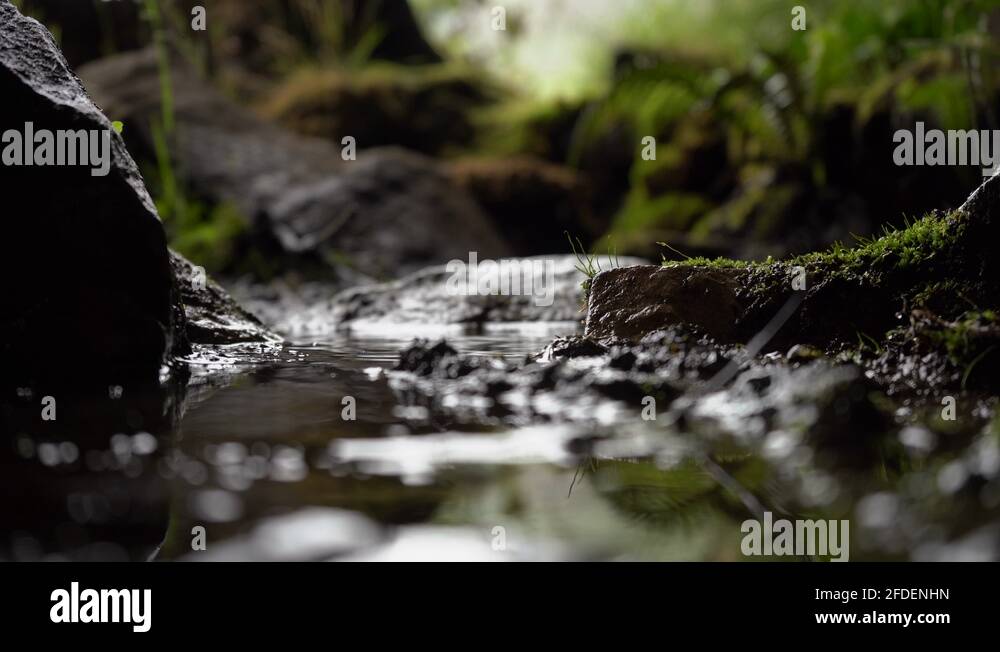 Mud water puddle Stock Videos & Footage - HD and 4K Video Clips - Alamy