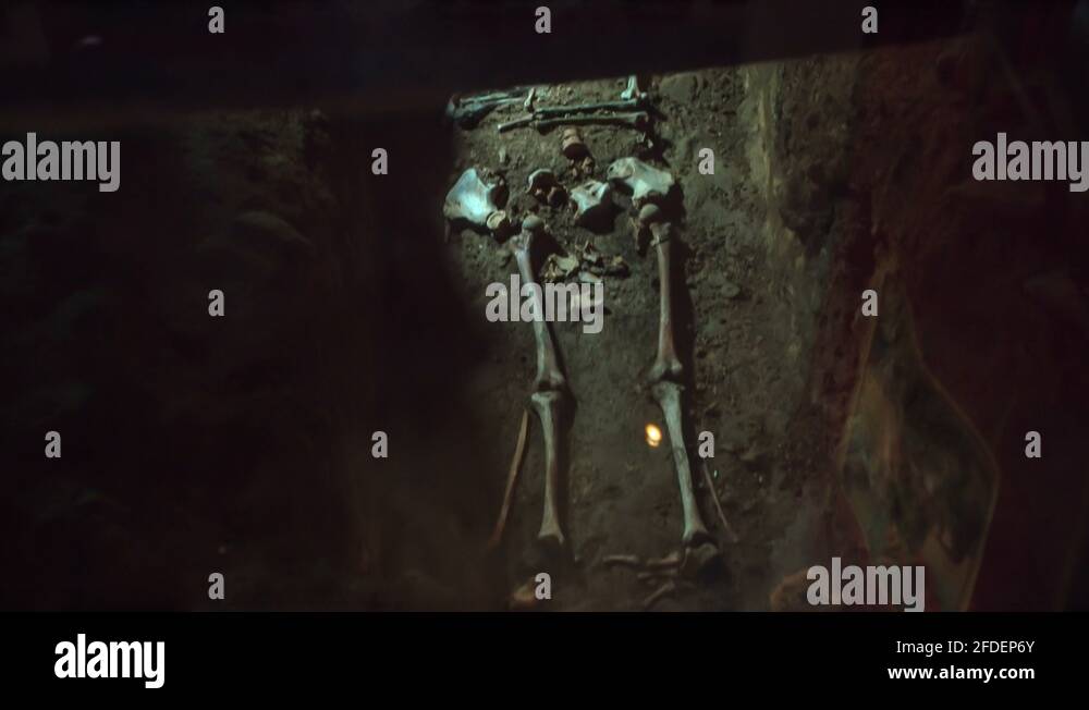 Dead human skeleton Stock Videos & Footage - HD and 4K Video Clips - Alamy