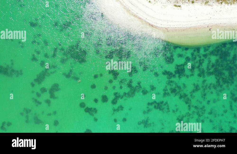 Beautiful sea texture with patterns of coral reefs under calm emerald ...