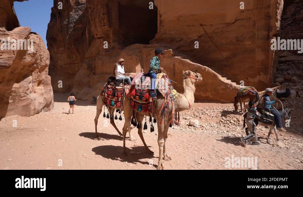 Camel kid Stock Videos & Footage - HD and 4K Video Clips - Alamy