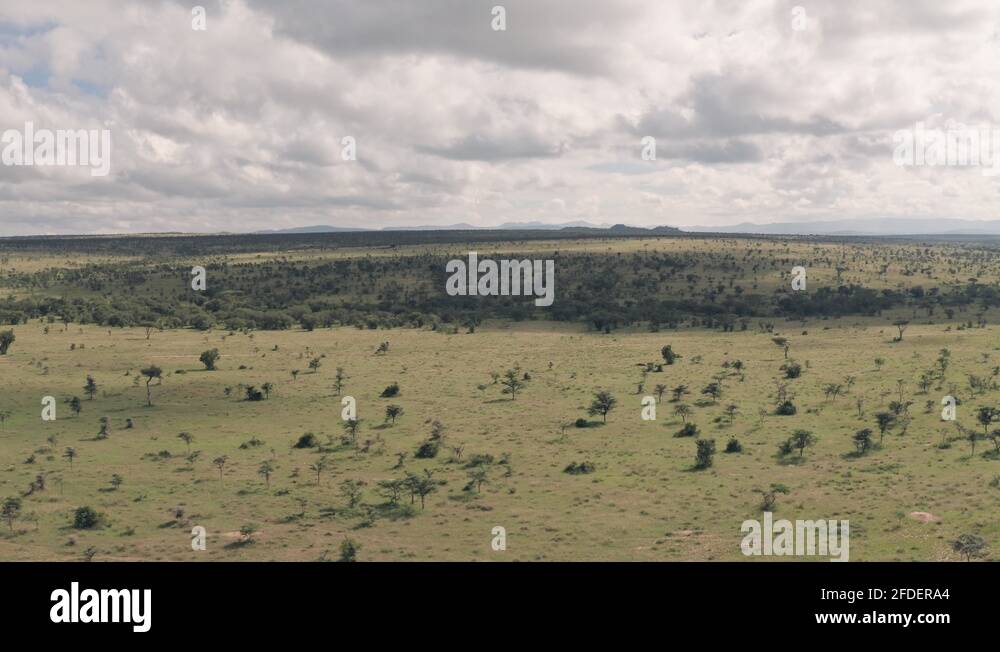 African plains landscape Stock Videos & Footage - HD and 4K Video Clips ...