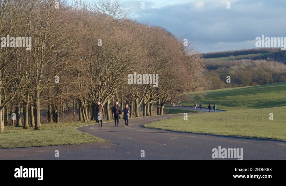 Temple newsam park Stock Videos & Footage - HD and 4K Video Clips - Alamy