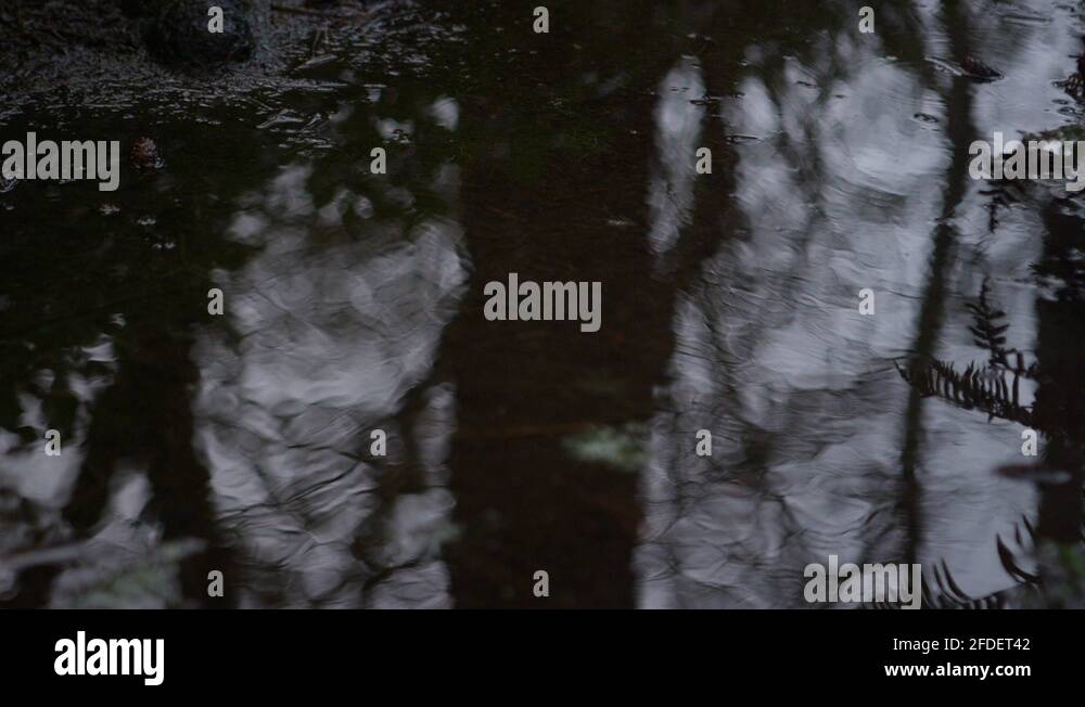 Dark reflections Stock Videos & Footage - HD and 4K Video Clips - Alamy