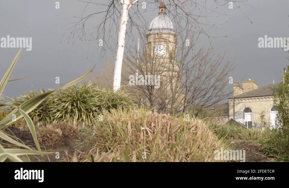Town Hall clock in urban town centre through view of park plants and ...
