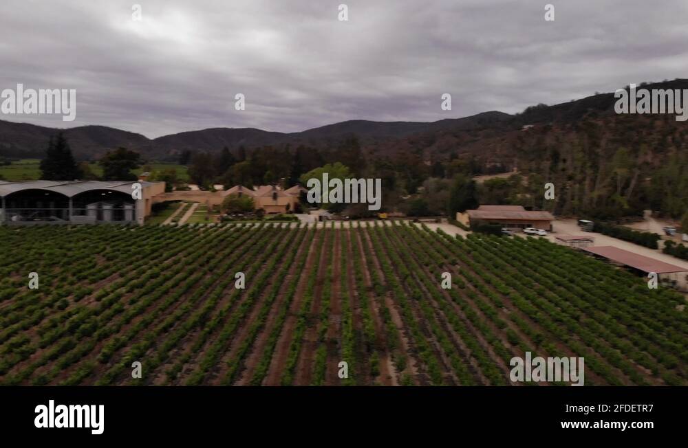 Chile wine andes Stock Videos & Footage - HD and 4K Video Clips - Alamy