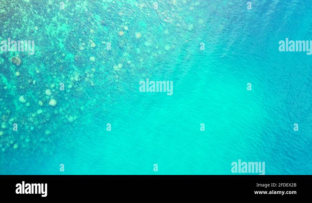 Sea texture with coral reefs and rocks under calm clear water of ...