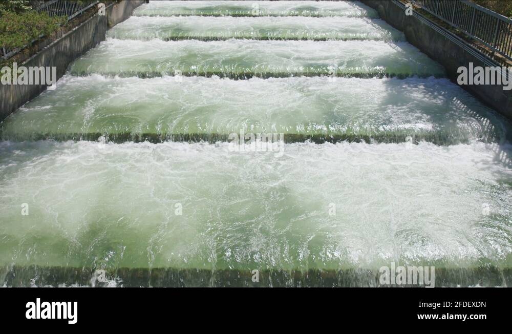 Fish ladder in use to allow fish to swim upstream at power plants Stock ...