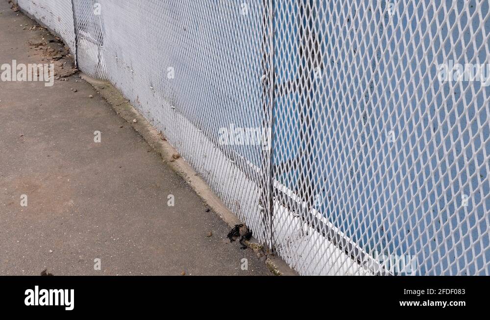 Seafront damage Stock Videos & Footage - HD and 4K Video Clips - Alamy