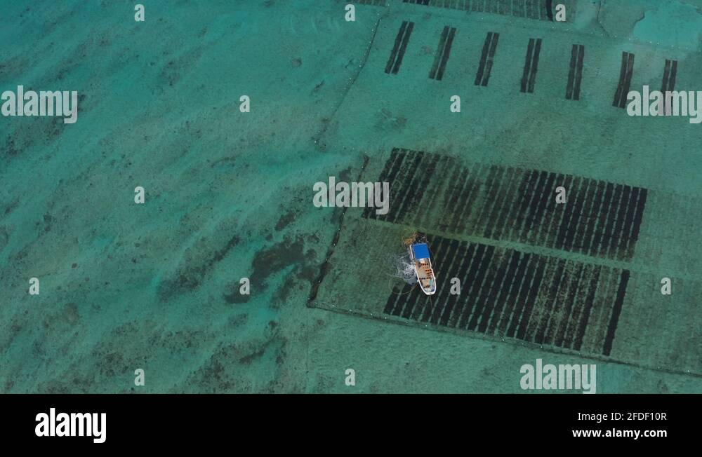 Pacific seaweed boat Stock Videos & Footage - HD and 4K Video Clips - Alamy