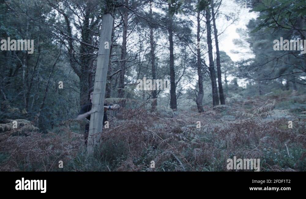 Man watching over fence Stock Videos & Footage - HD and 4K Video Clips ...