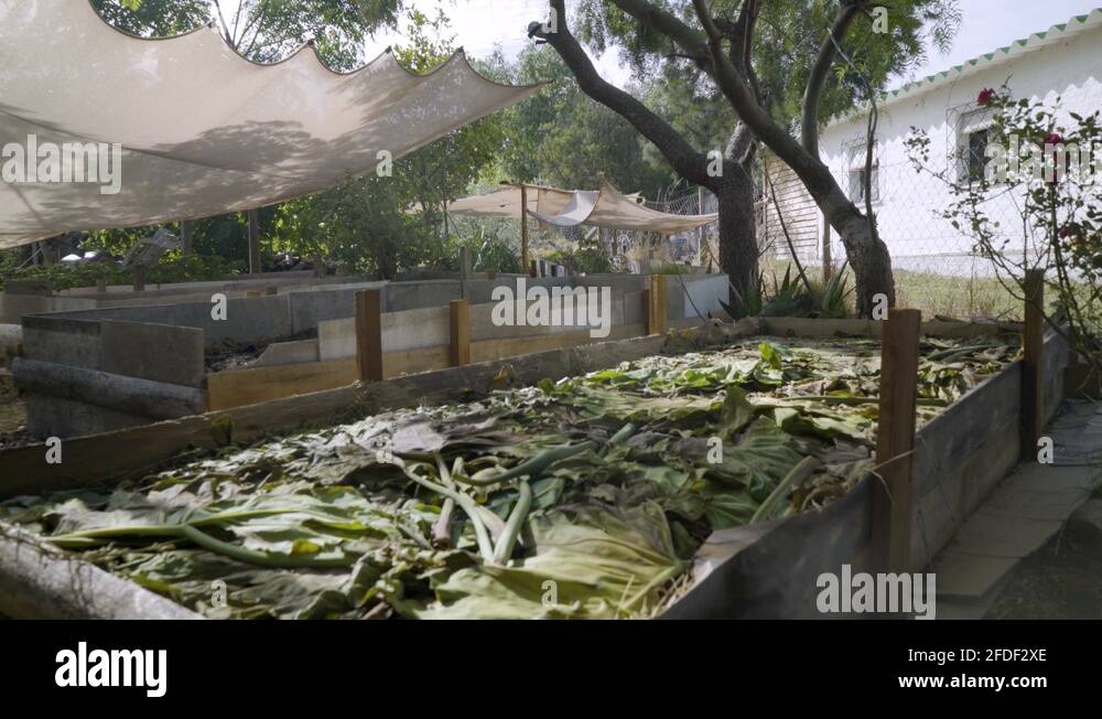 Composting education Stock Videos & Footage - HD and 4K Video Clips - Alamy