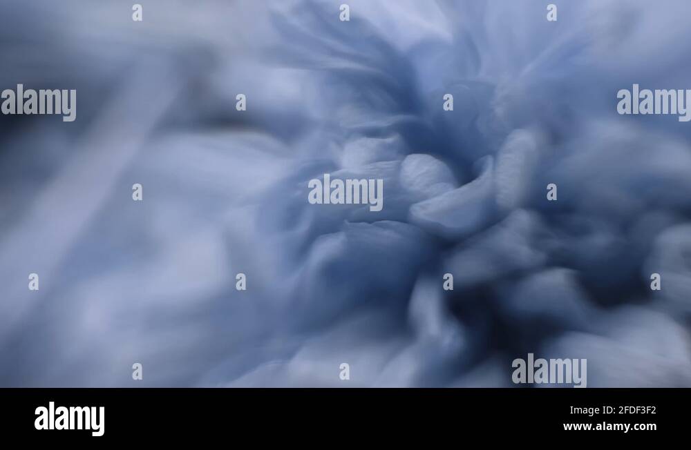 Soft ice blue pastel colored dried flowers background with flowing and ...