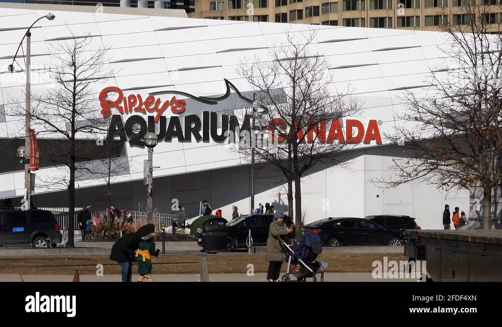 The ripley building Stock Videos & Footage - HD and 4K Video Clips - Alamy