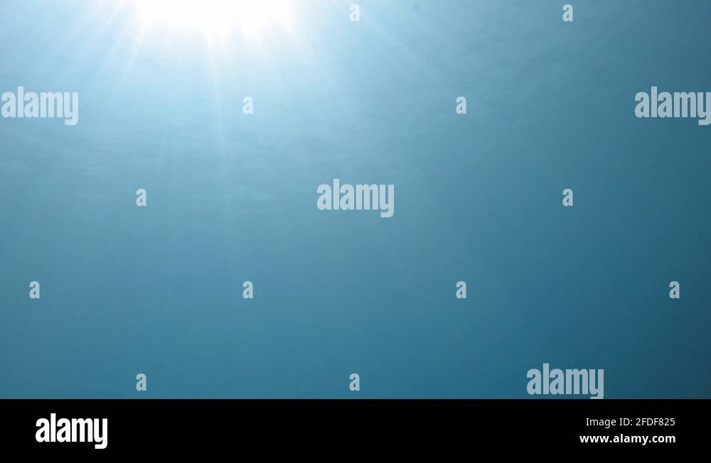 Sun light beams Stock Videos & Footage - HD and 4K Video Clips - Alamy