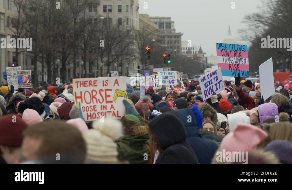 Womens rights signs Stock Videos & Footage - HD and 4K Video Clips - Alamy