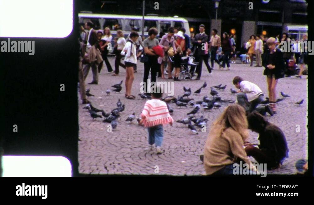 World war ii pigeons Stock Videos & Footage - HD and 4K Video Clips - Alamy