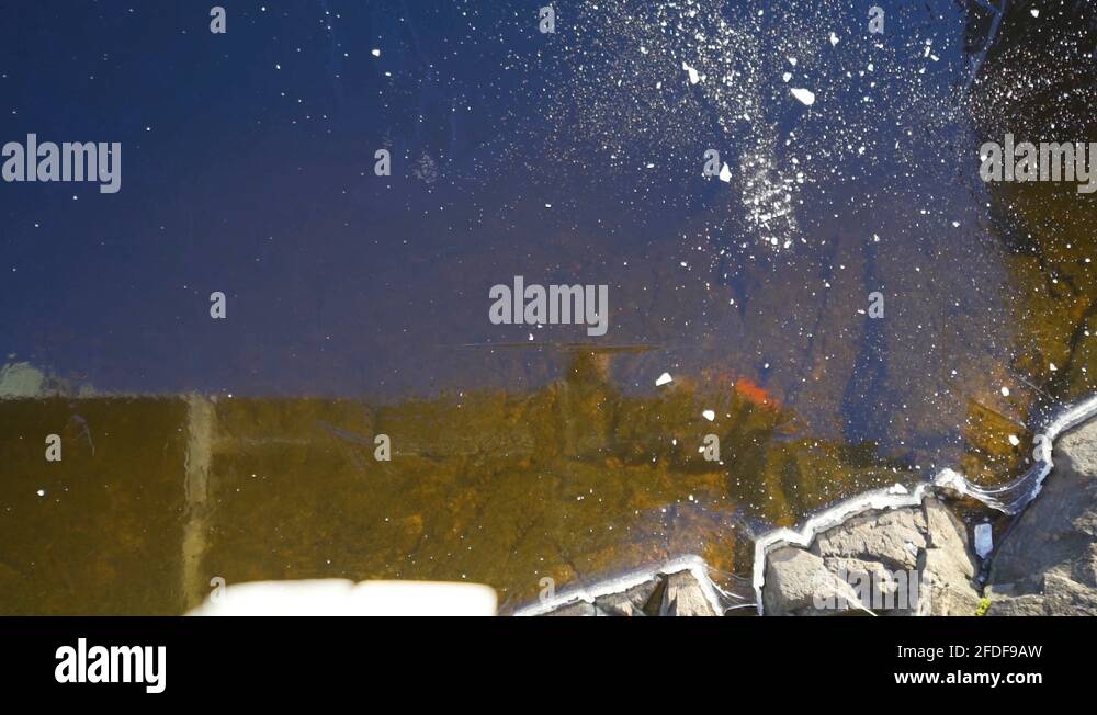 Reflective ice surface Stock Videos & Footage - HD and 4K Video Clips ...