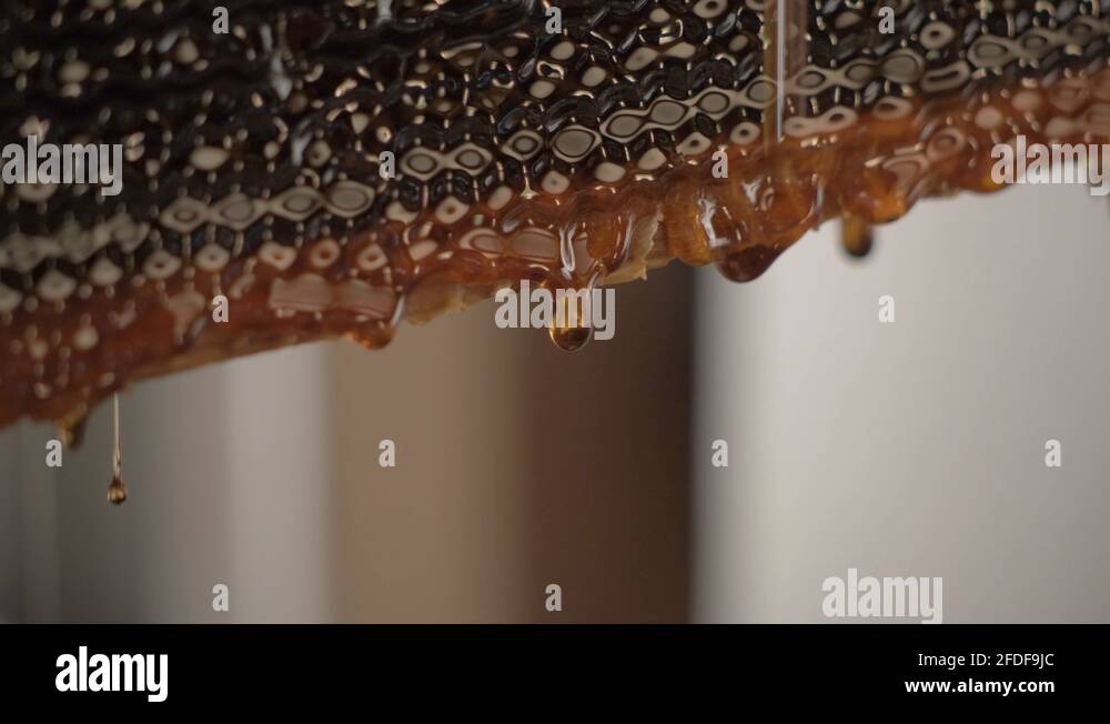 Handicraft frame Stock Videos & Footage - HD and 4K Video Clips - Alamy