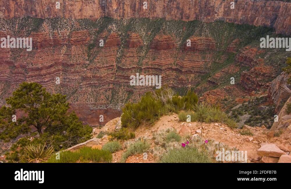 What Are The Rock Layers Of The Grand Canyon at Albert Avila blog