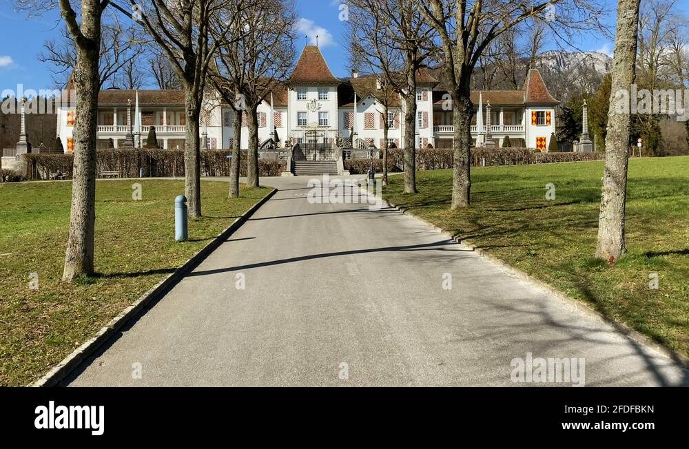 An old fashioned duke Stock Videos & Footage - HD and 4K Video Clips ...