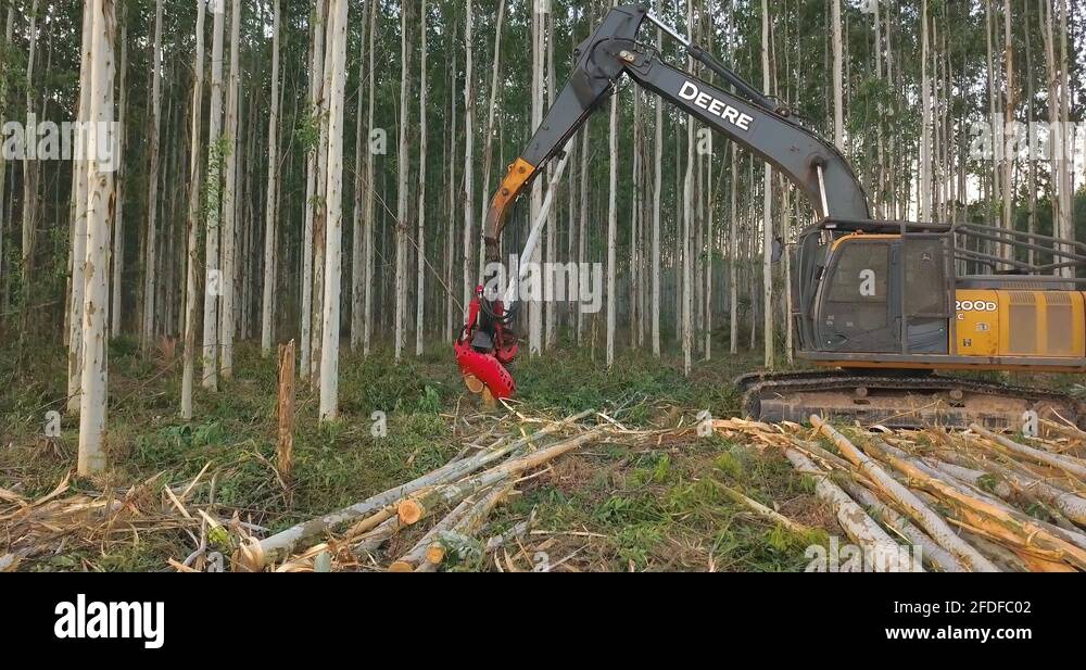 Tree harvester Stock Videos & Footage - HD and 4K Video Clips - Alamy