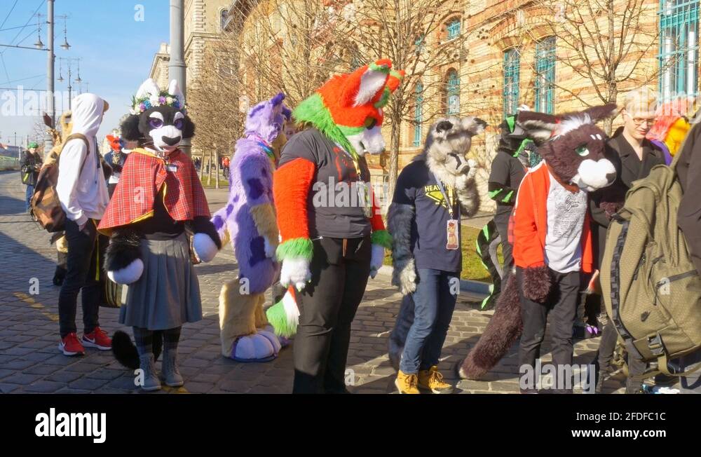 People dressed as in an animal costume called as furry walking on the ...