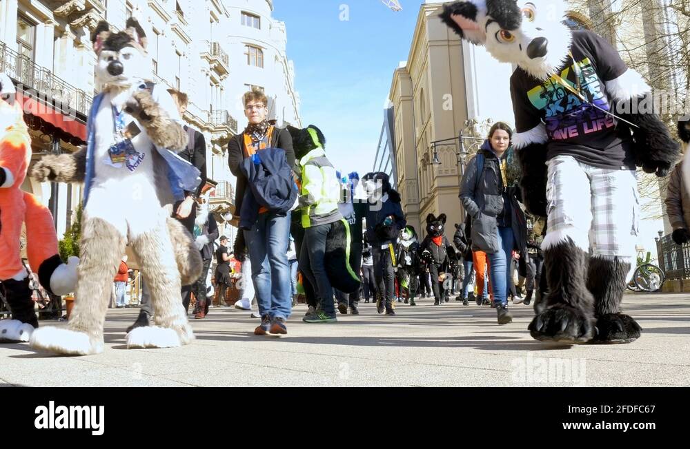 People dressed as in an animal costume called as furry walking on the ...