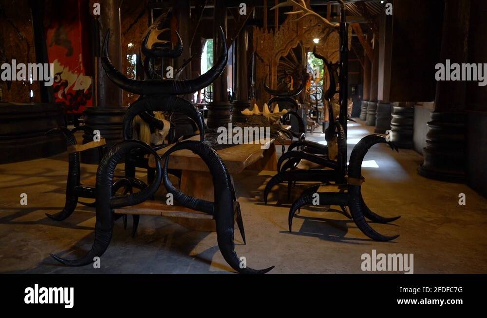 Real horn Stock Videos & Footage - HD and 4K Video Clips - Alamy