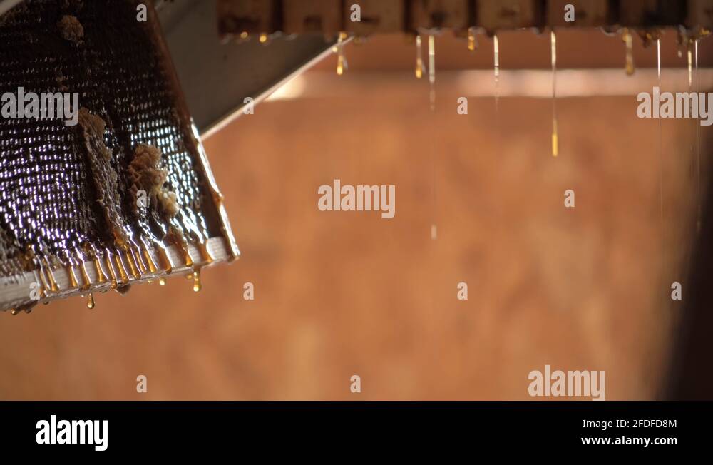 Close up about honey dripping from a beehive frame Stock Video Footage ...