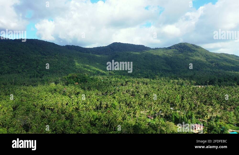 Tropical mountain landscape Stock Videos & Footage - HD and 4K Video ...