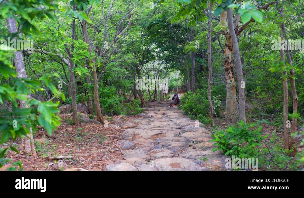 Baba mountain Stock Videos & Footage - HD and 4K Video Clips - Alamy