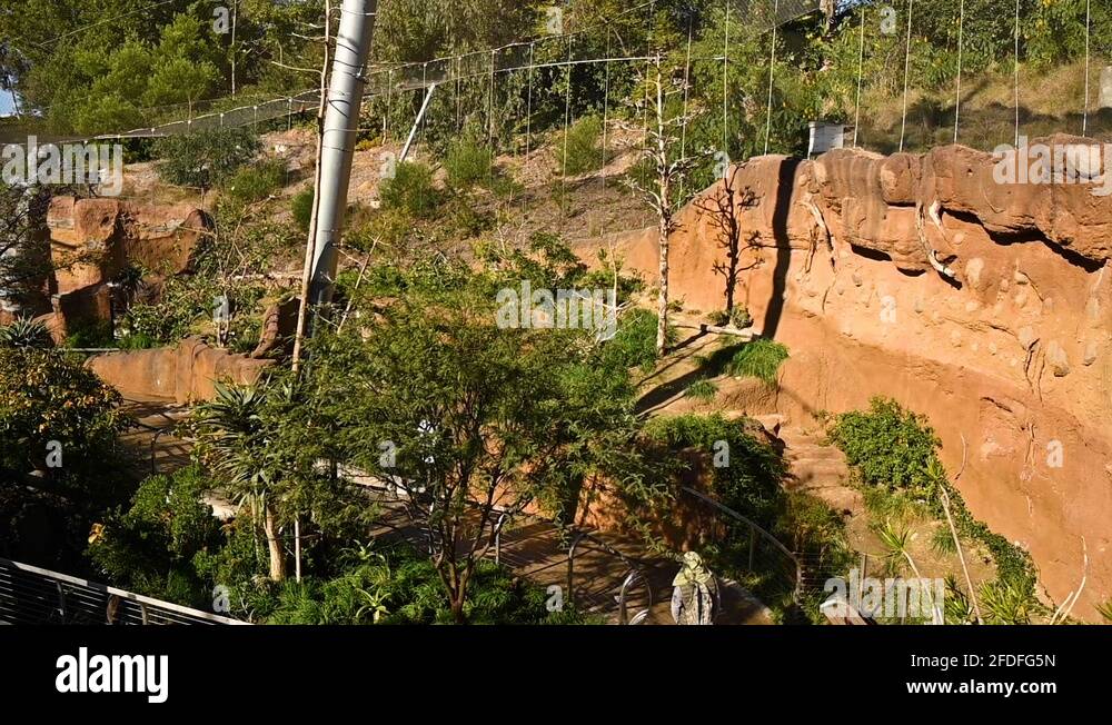 Large bird aviary Stock Videos & Footage - HD and 4K Video Clips - Alamy