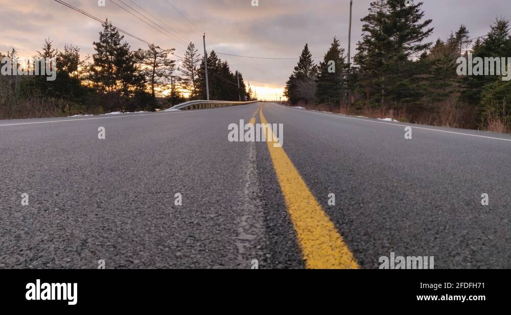 Tree line boulevard Stock Videos & Footage - HD and 4K Video Clips - Alamy